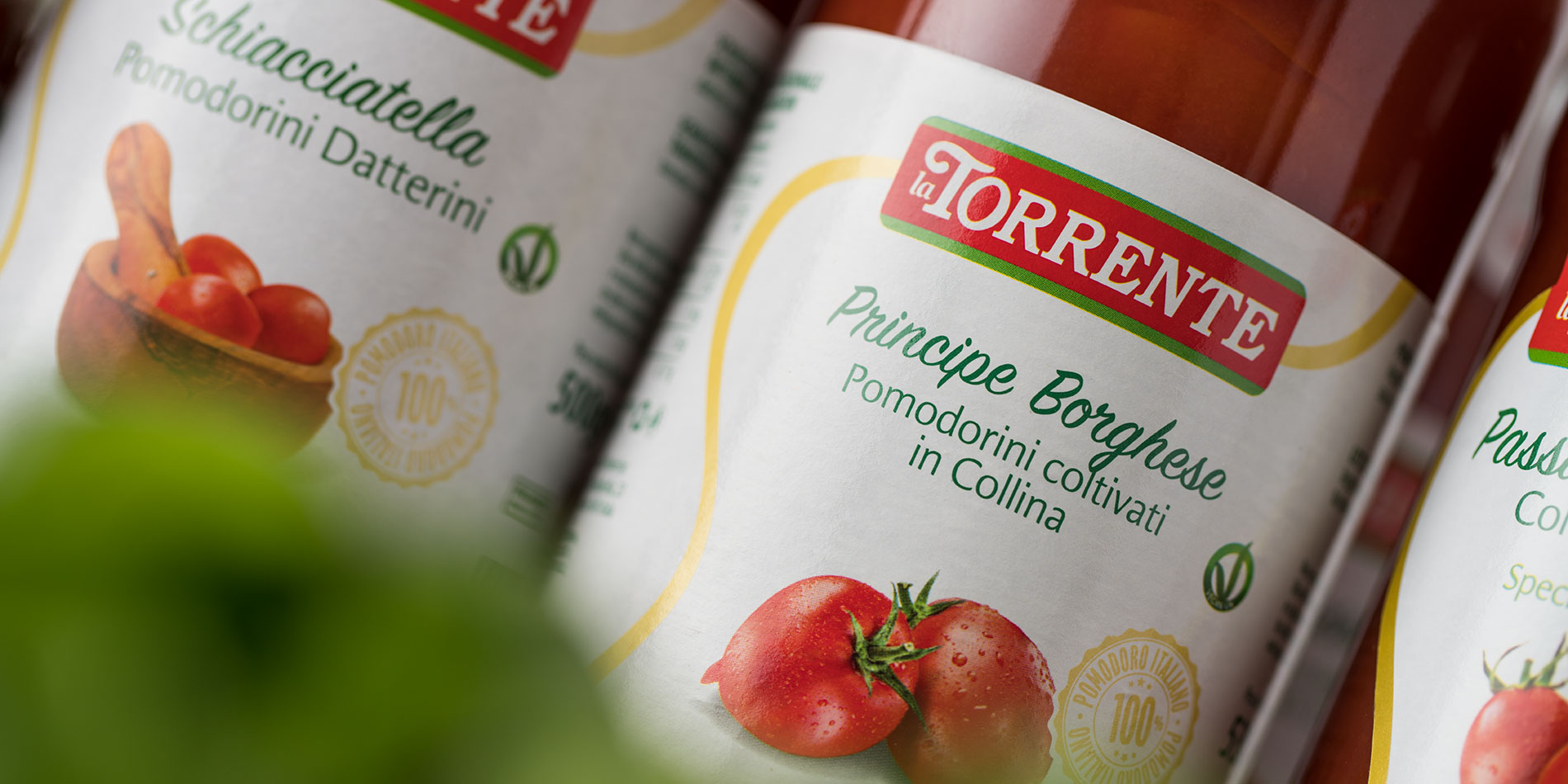 VekStudio - La Torrente - pomodoro - italiano - datterino - san marzano